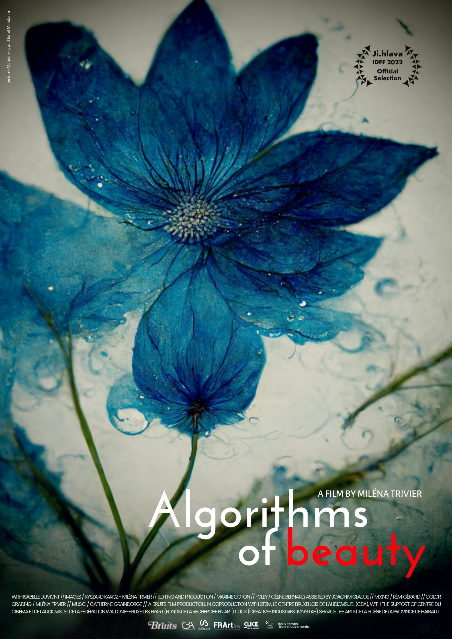 KAROO | Algorithms of beauty de Miléna Trivier